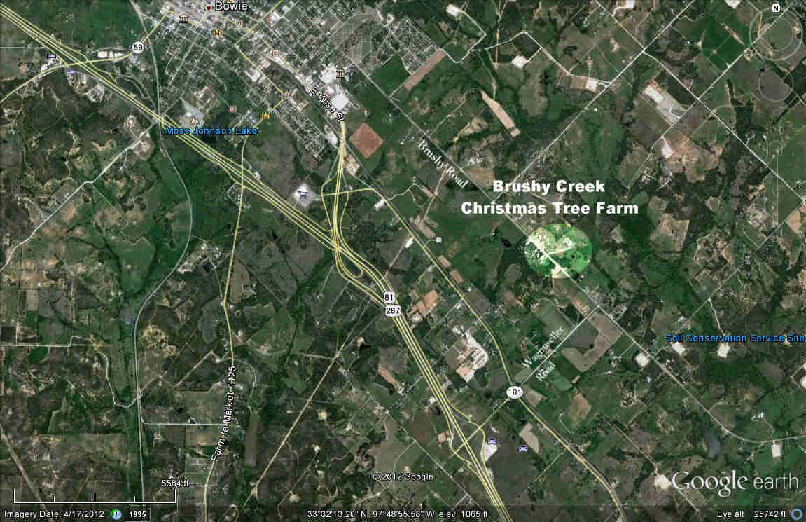 Brushy Creek Christmas Trees